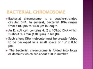 Prokaryotic and eukaryotic genome | PPTX