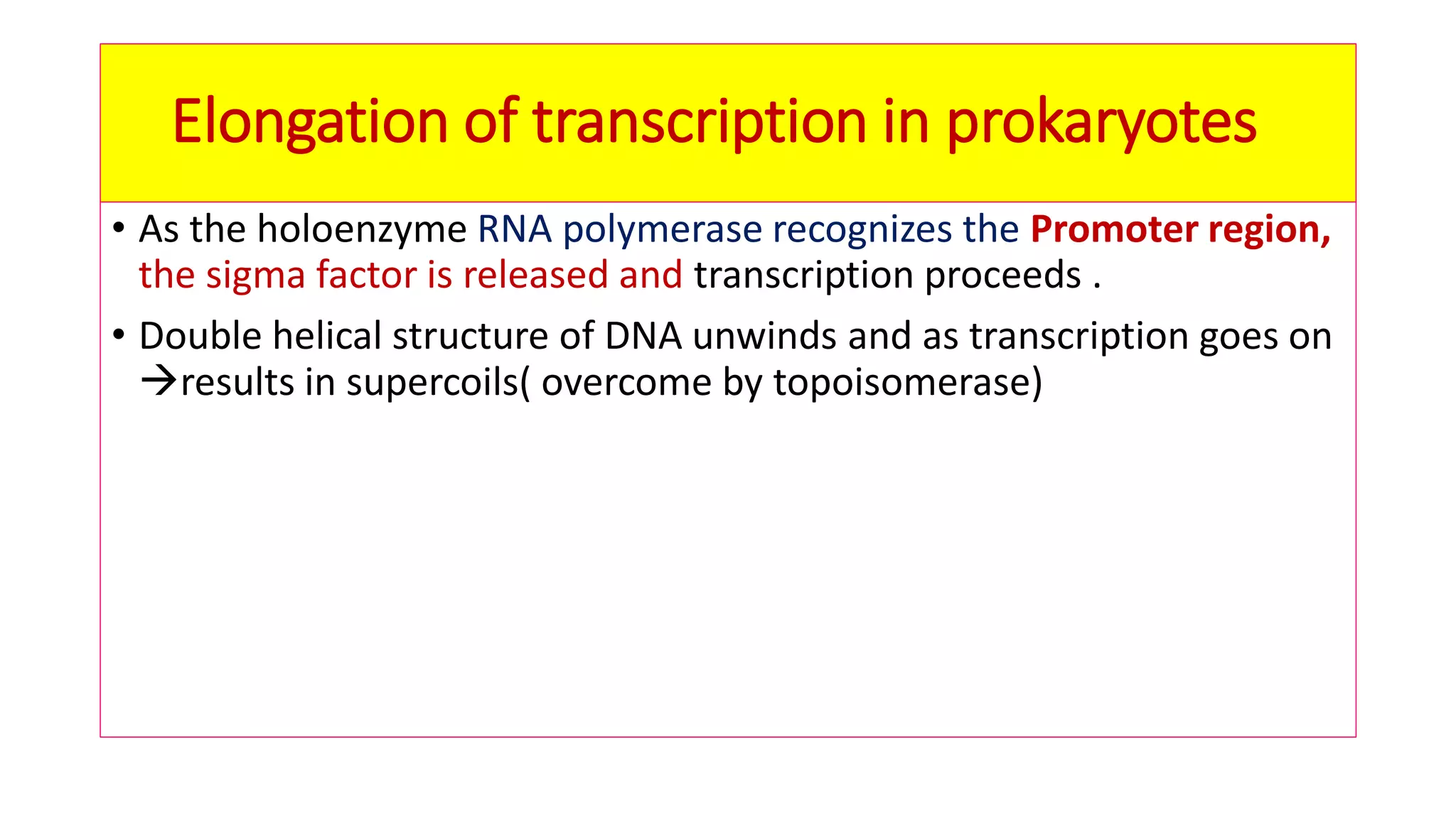 Prokaryotic and eukaryotic transcription with their clinical ...
