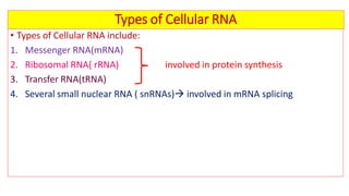 Prokaryotic and eukaryotic transcription with their clinical ...