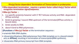Prokaryotic and eukaryotic transcription with their clinical ...