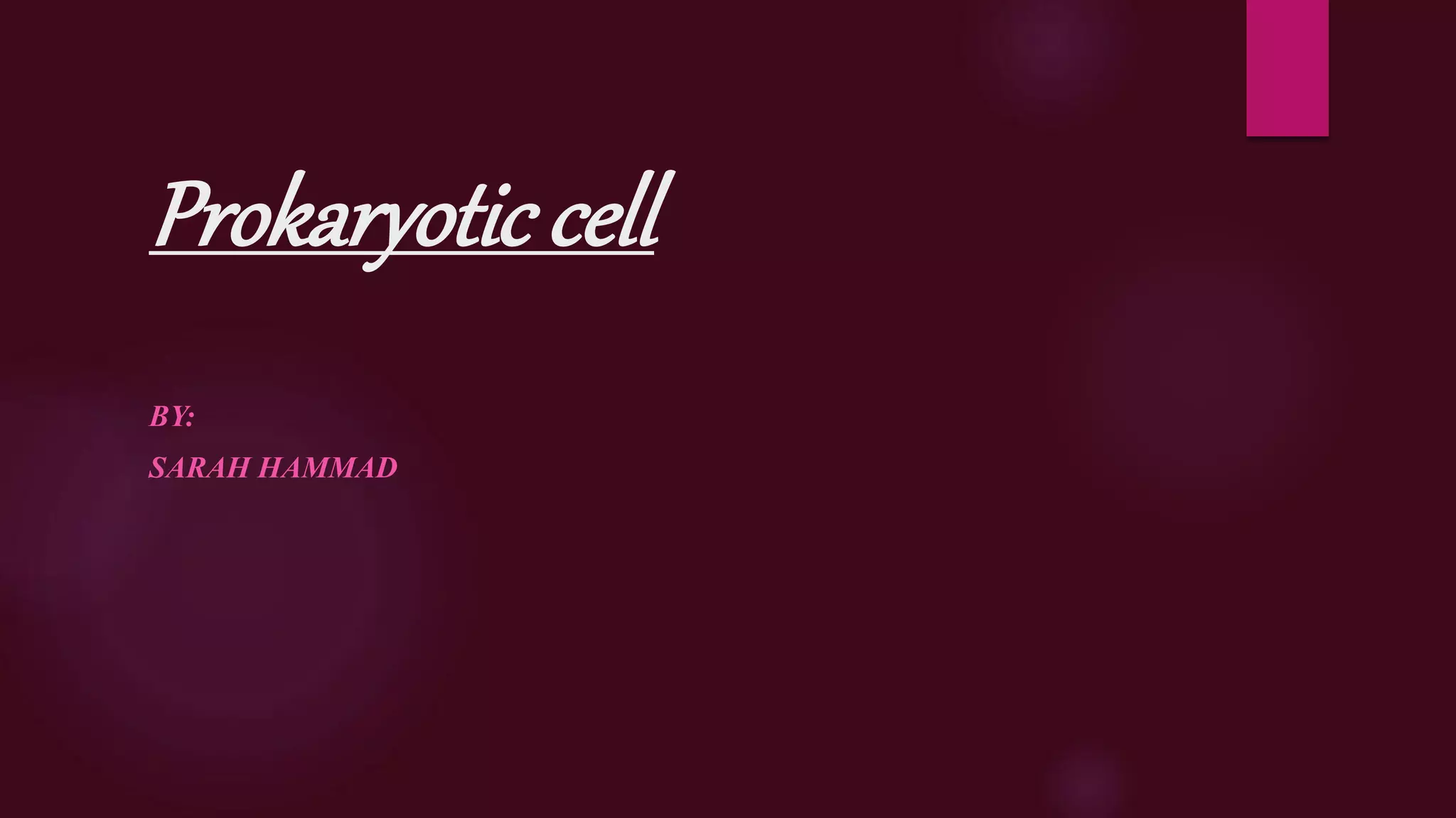 Prokaryotic cell Of Bacteria | PPTX