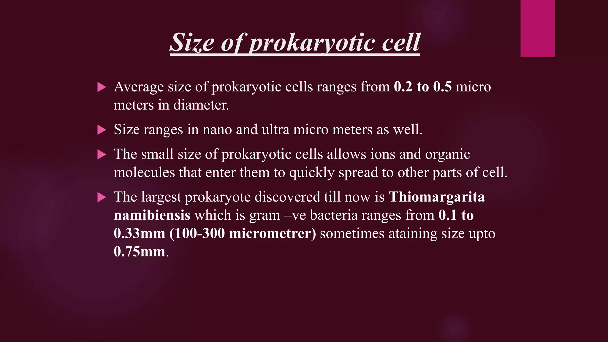 Prokaryotic cell Of Bacteria | PPTX