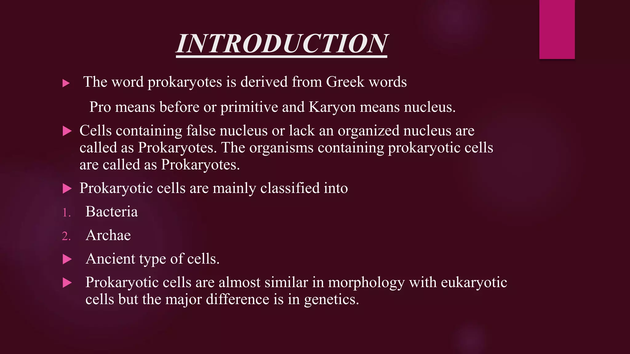 Prokaryotic cell Of Bacteria | PPTX