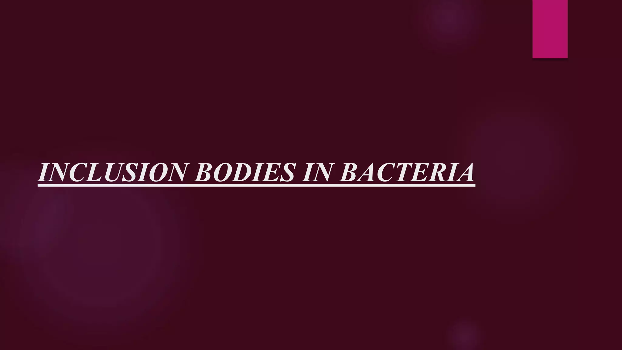 Prokaryotic cell Of Bacteria | PPTX