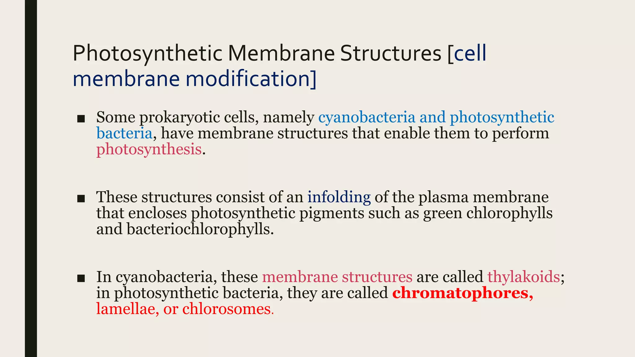 Prokaryotic cell | PPTX