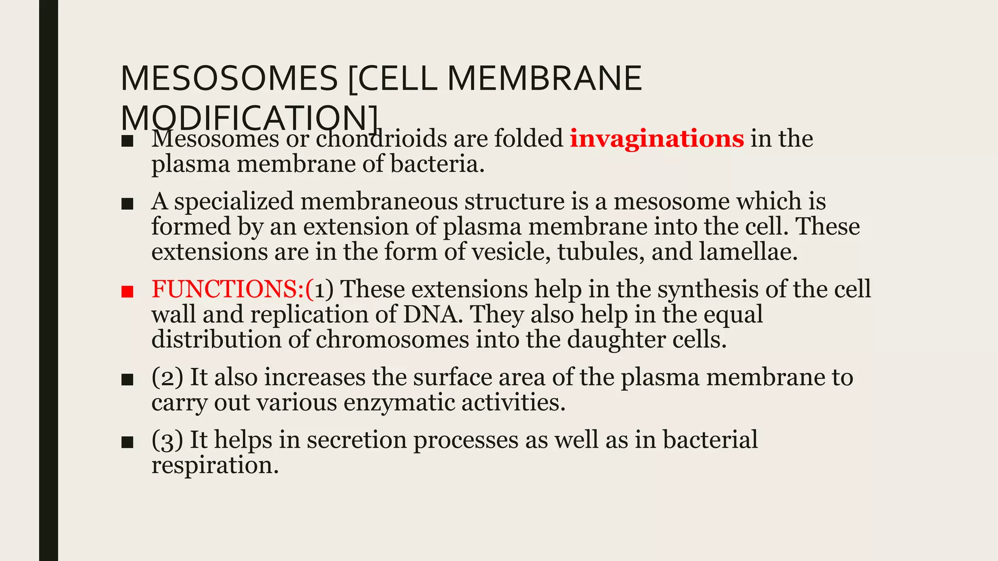 Prokaryotic cell | PPTX