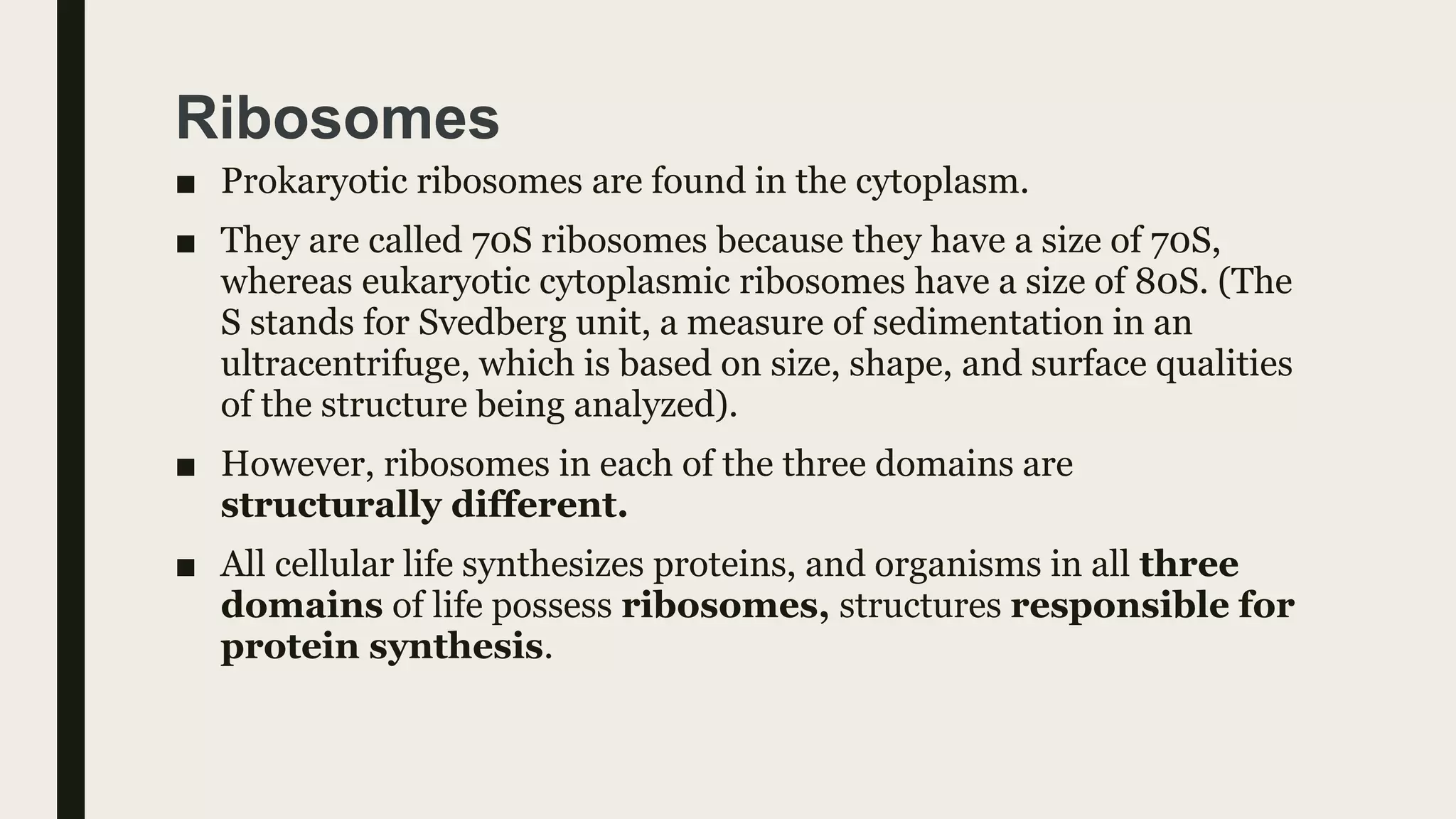 Prokaryotic cell | PPTX
