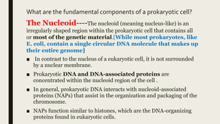 Prokaryotic cell | PPTX