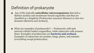 Examples Of Prokaryotic Organisms