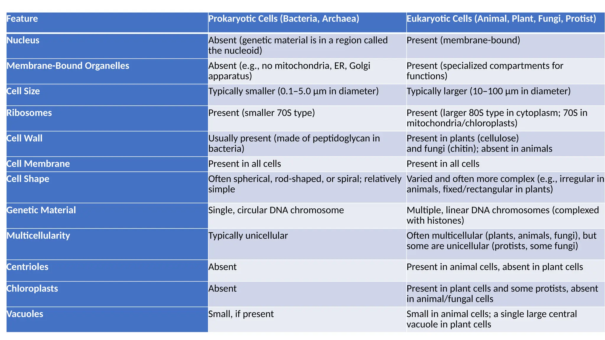 Prokaryotic Cell and Eukaryotic cell Presentation (1).pptx