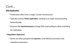 Prokaryotic Cell and Eukaryotic cell Presentation (1).pptx