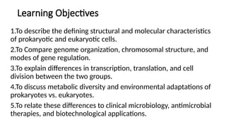Prokaryotic Cell and Eukaryotic cell Presentation (1).pptx