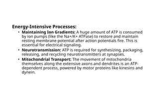 Prokaryotic Cell and Eukaryotic cell Presentation (1).pptx