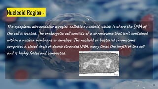 Prokaryotic cell (Anjali Bisen ) | PPTX | Biological Sciences | Science