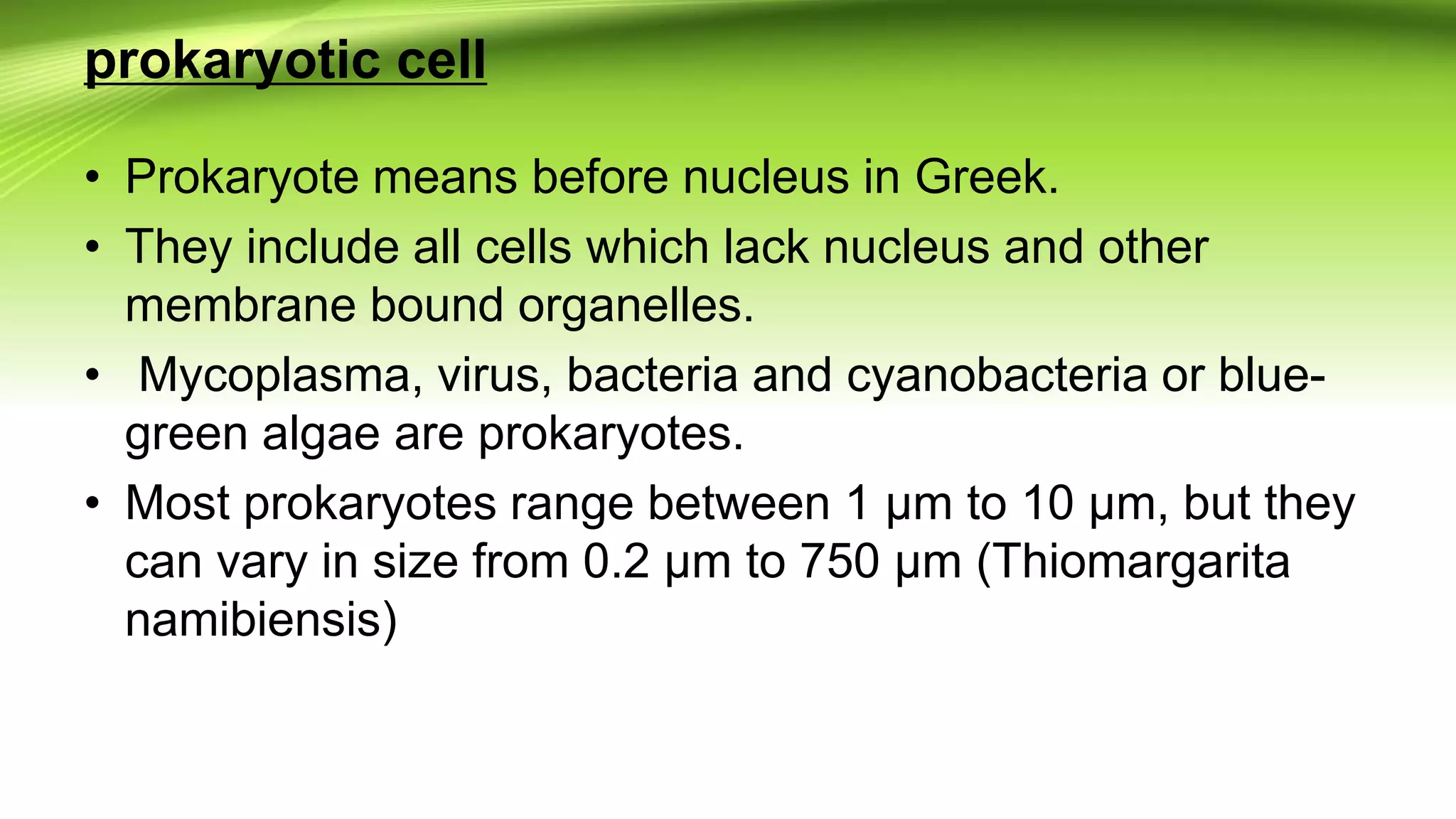 Prokaryotic cell ppt | PPTX