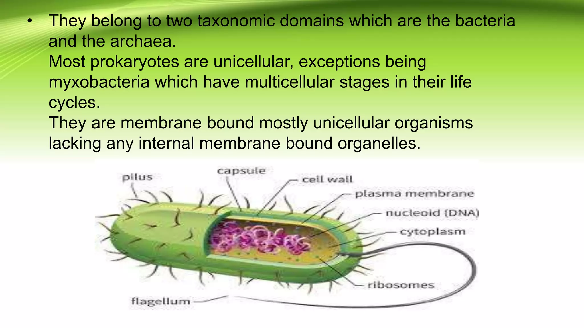 Prokaryotic cell ppt | PPTX