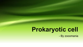 Prokaryotic cell ppt | PPTX