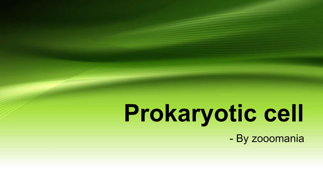 Prokaryotic cell ppt | PPT | Free Download