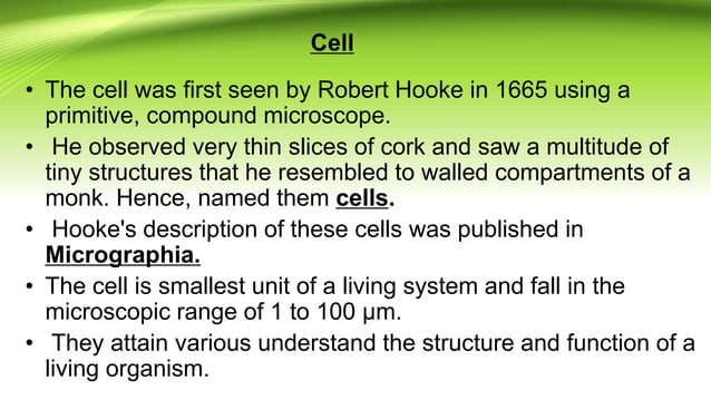 Prokaryotic cell ppt | PPTX