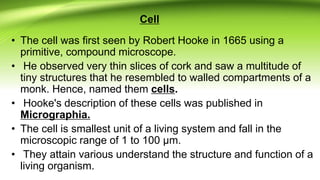 Prokaryotic cell ppt | PPT