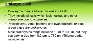 Prokaryotic cell ppt | PPT