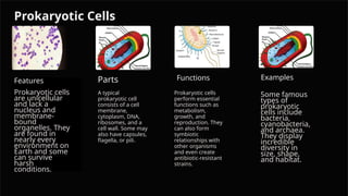 prokaryotic cells...........................pptx