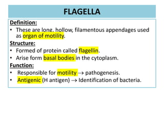 Prokaryotic cell structure.pptx