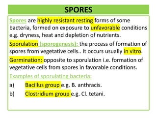 Prokaryotic cell structure.pptx