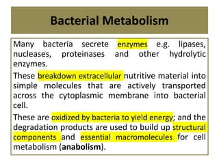 Prokaryotic cell structure.pptx