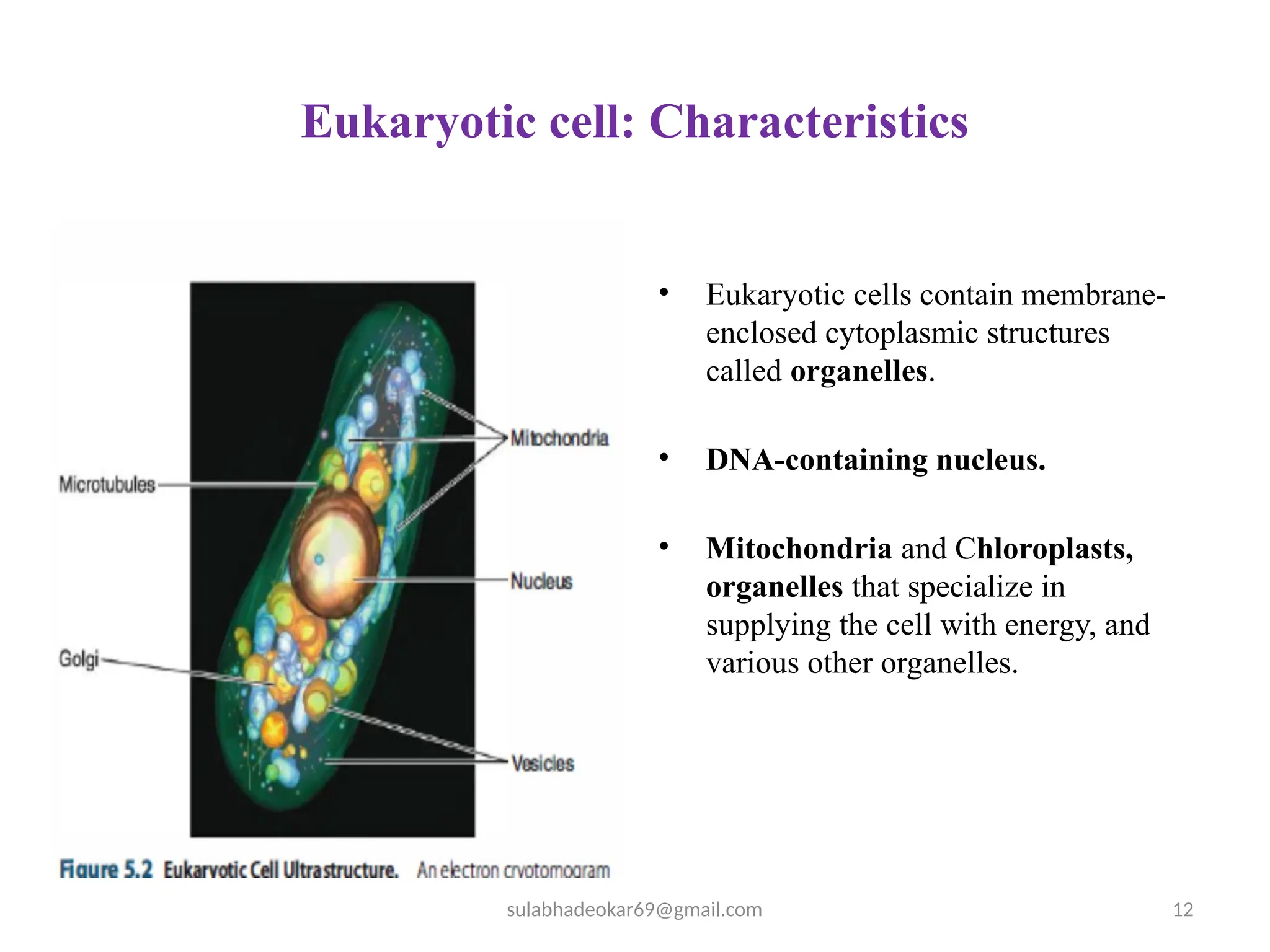 Prokaryotic cell Vs Eukaryotic cell Understanding the Differences.pptx