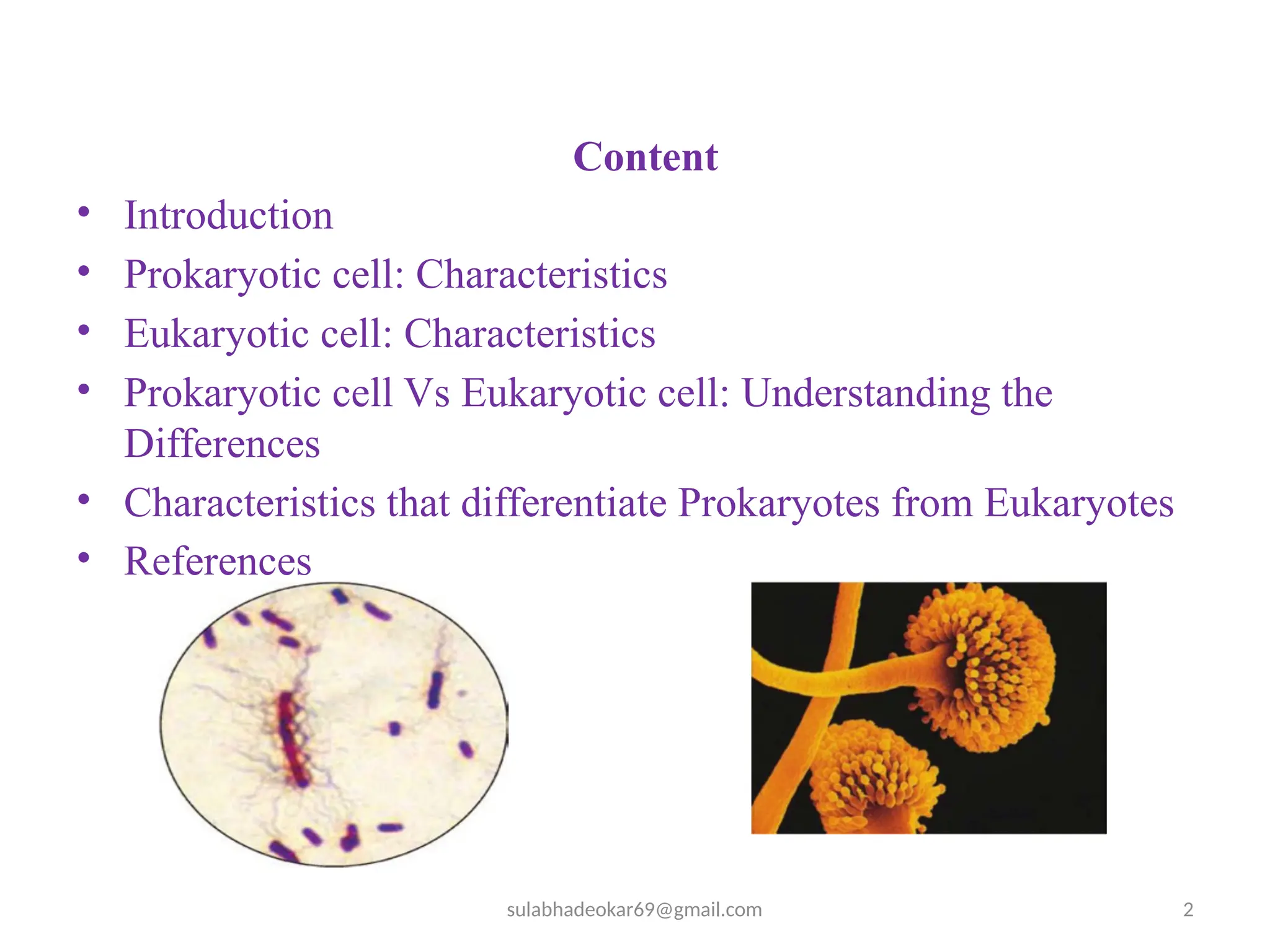 Prokaryotic cell Vs Eukaryotic cell Understanding the Differences.pptx