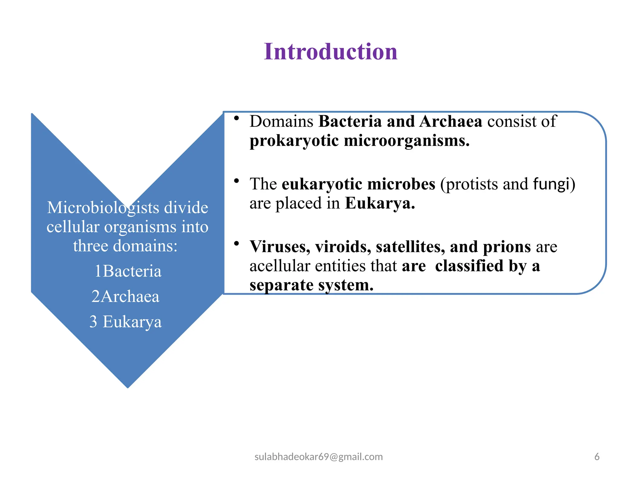 Prokaryotic cell Vs Eukaryotic cell Understanding the Differences.pptx