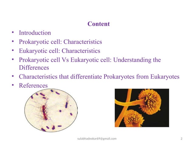 Prokaryotic cell Vs Eukaryotic cell Understanding the Differences.pptx