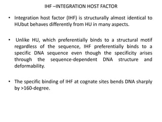 Prokaryotic chromosome structure | PPT