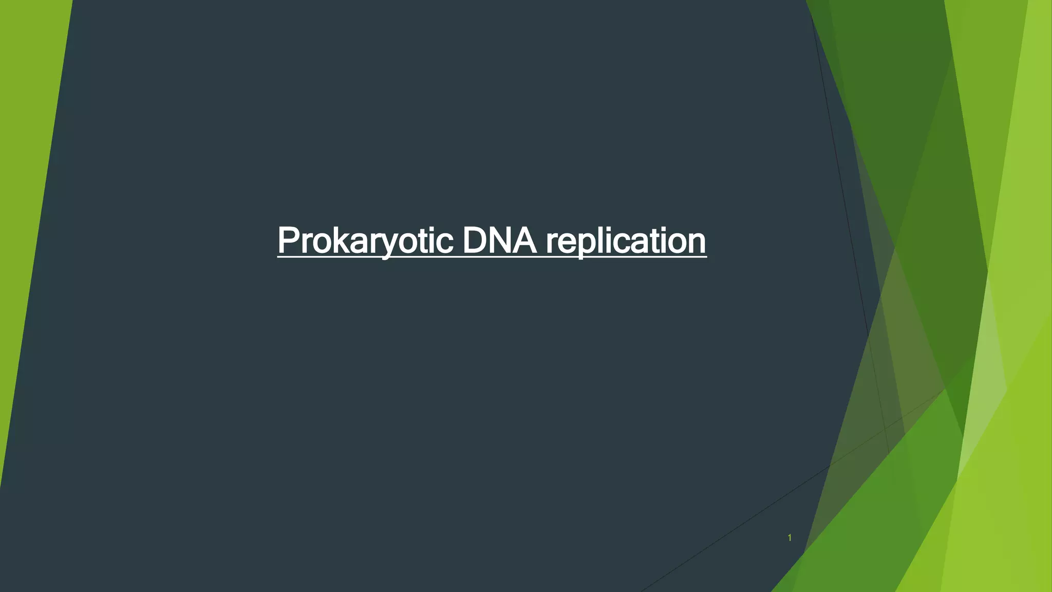 Prokaryotic DNA replication.pptx | Chemistry | Science