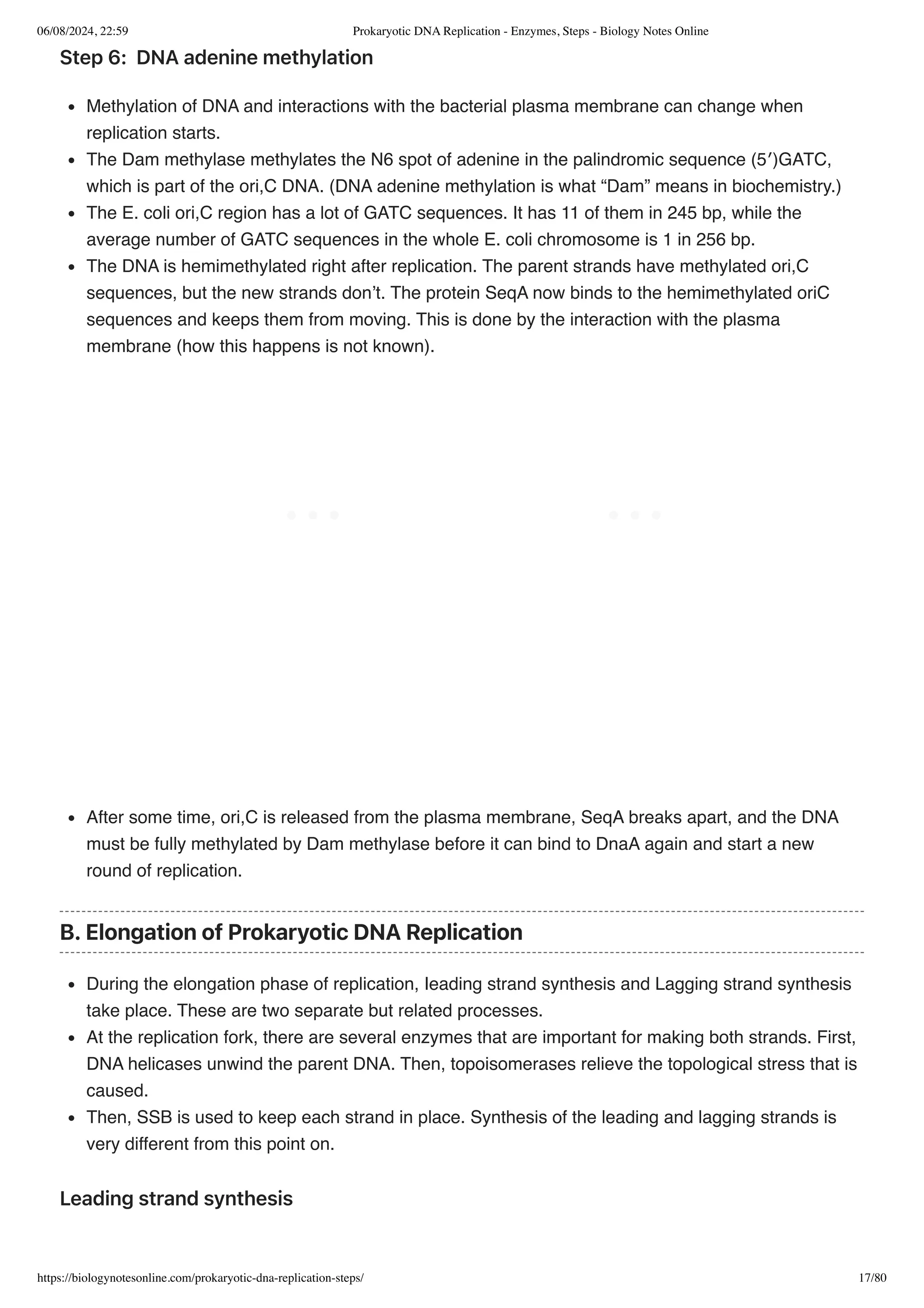 Prokaryotic DNA Replication - Enzymes, Steps - Biology Notes Online.pdf