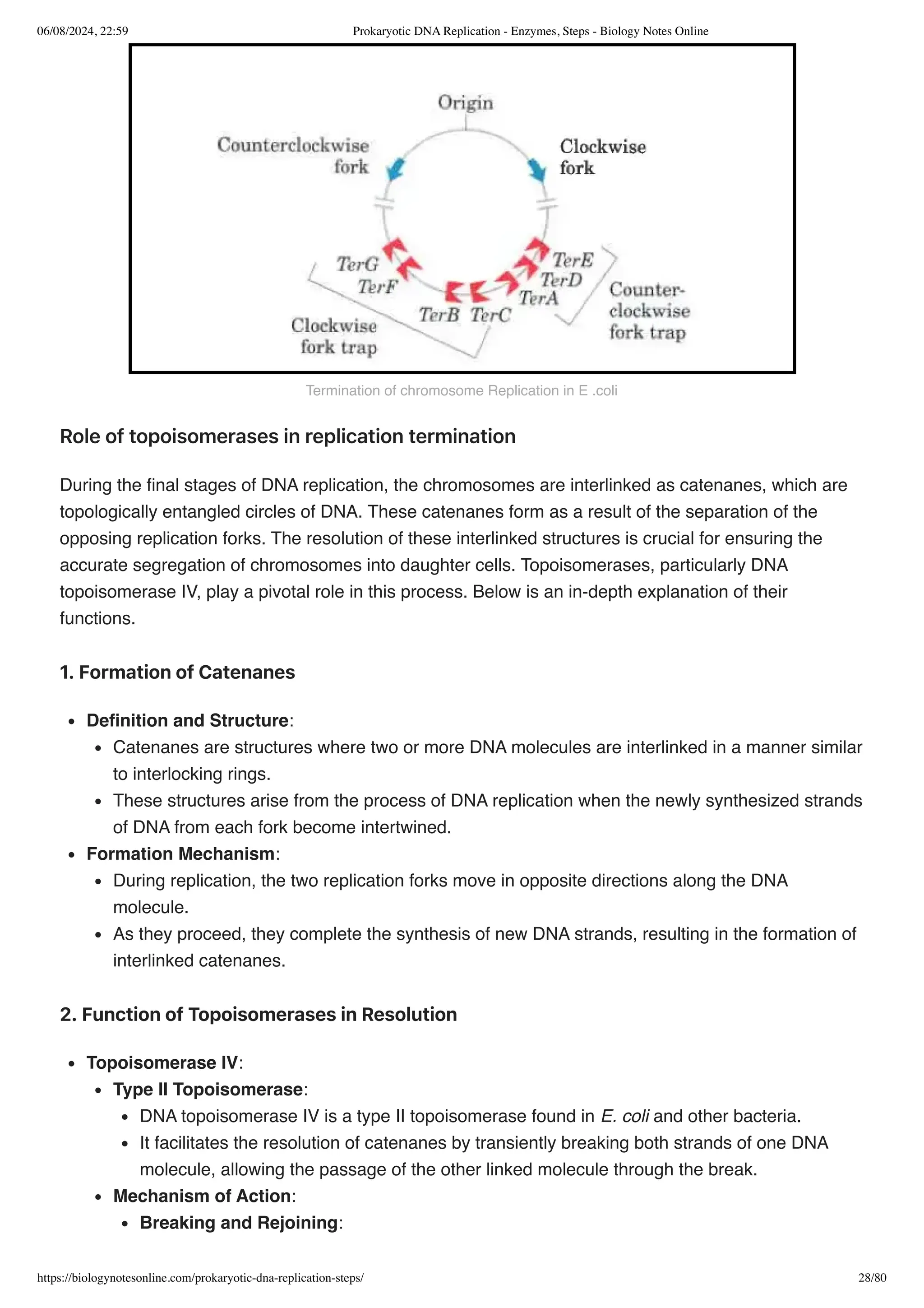 Prokaryotic DNA Replication - Enzymes, Steps - Biology Notes Online.pdf