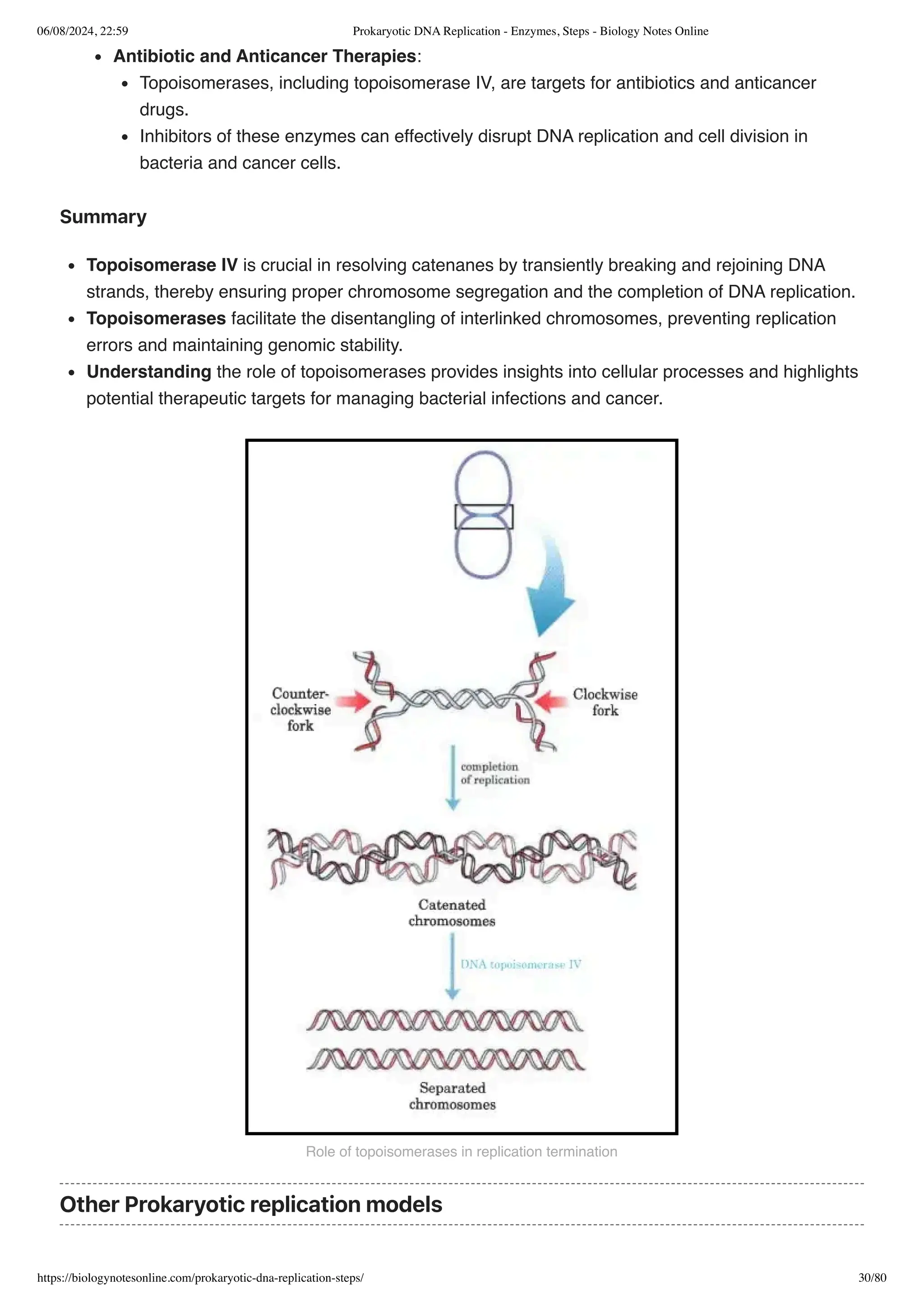 Prokaryotic DNA Replication - Enzymes, Steps - Biology Notes Online.pdf