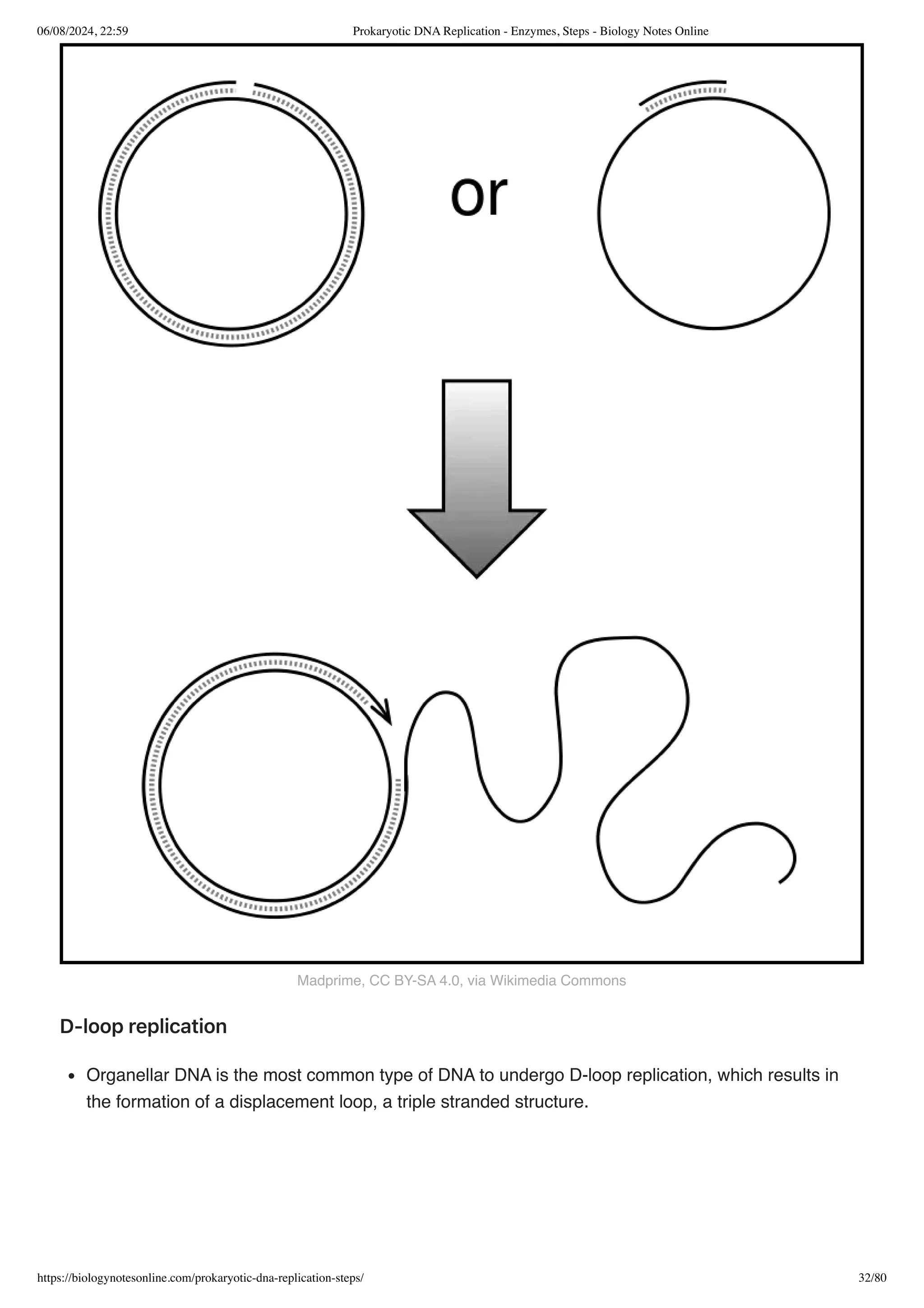 Prokaryotic DNA Replication - Enzymes, Steps - Biology Notes Online.pdf