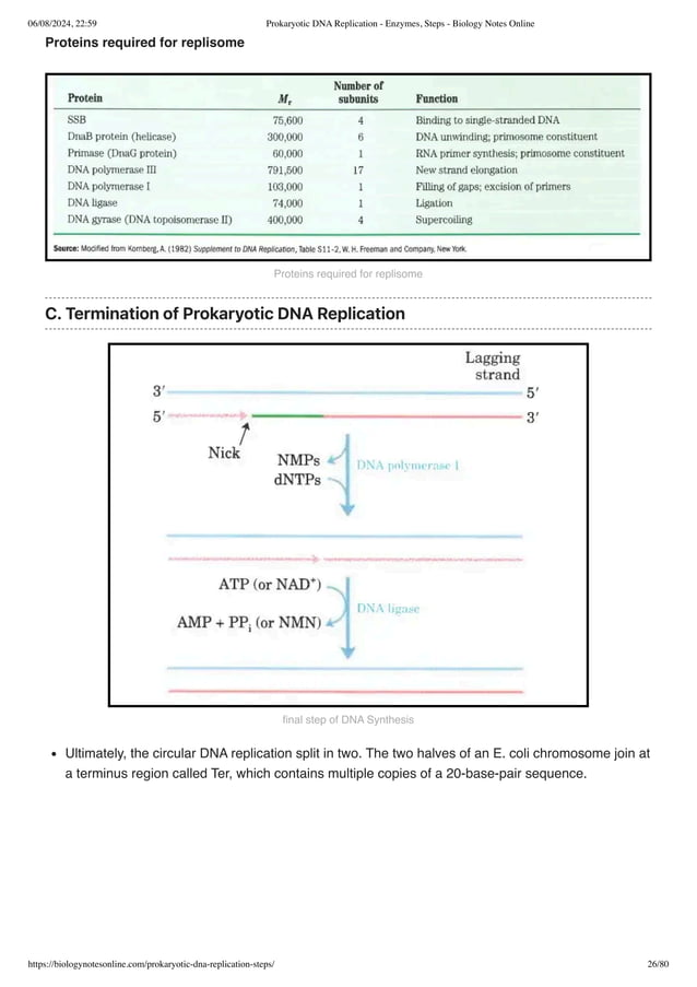 Prokaryotic DNA Replication - Enzymes, Steps - Biology Notes Online.pdf