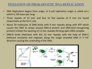 PROKARYOTIC DNA REPLICATION .pptx