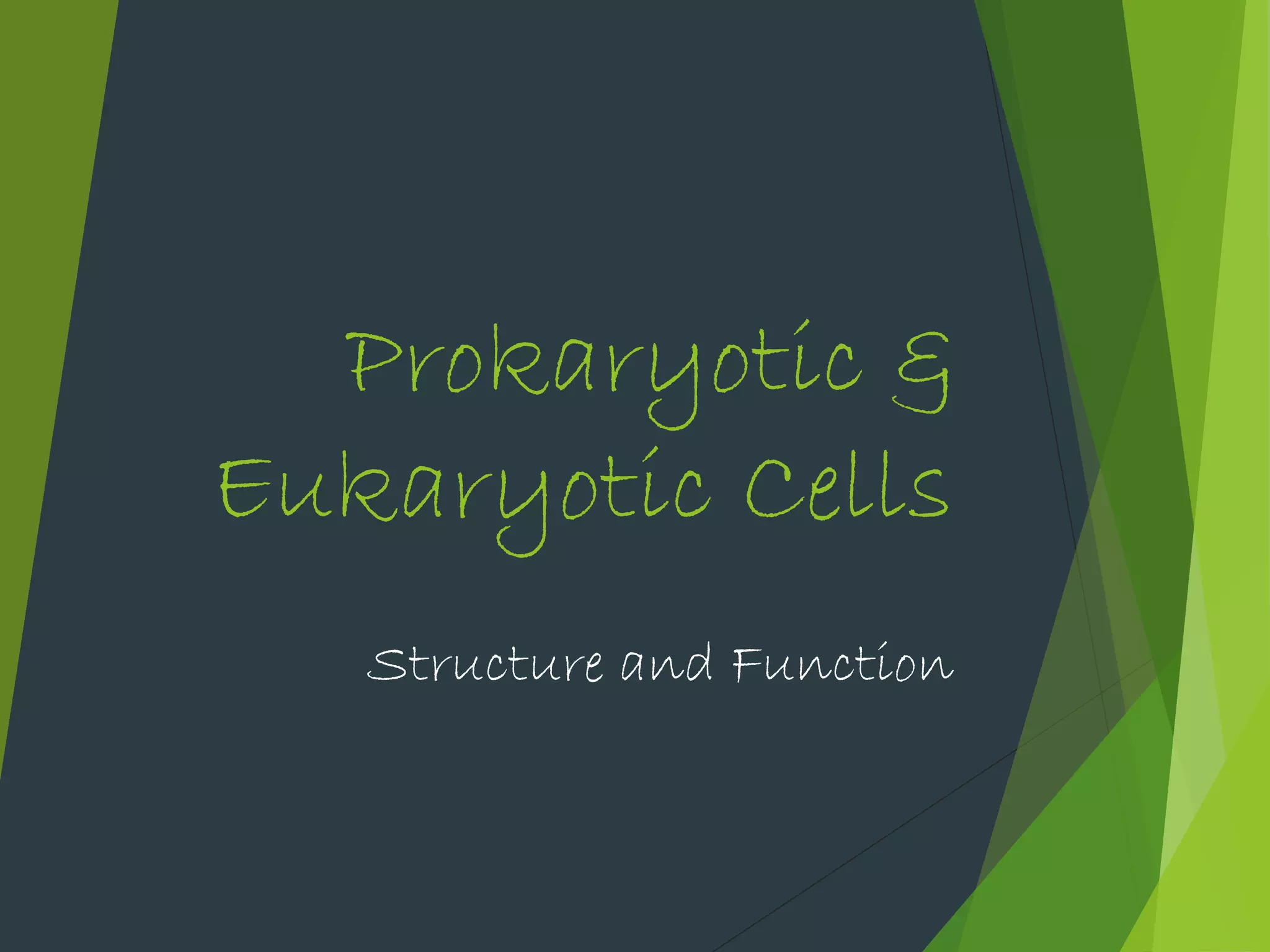Prokaryotic &eukaryotic cells | PPTX | Biological Sciences | Science