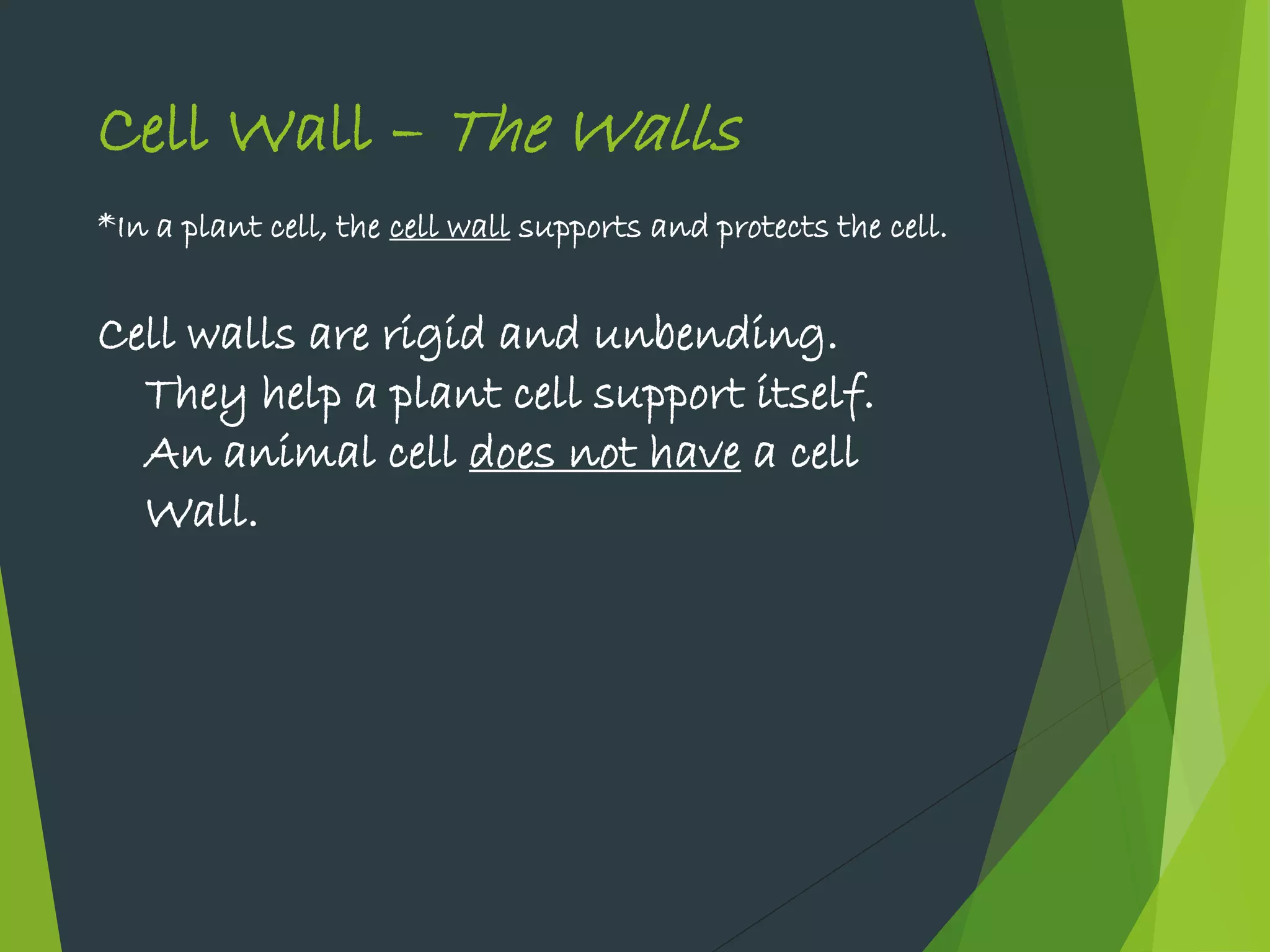 Prokaryotic &eukaryotic cells | PPTX