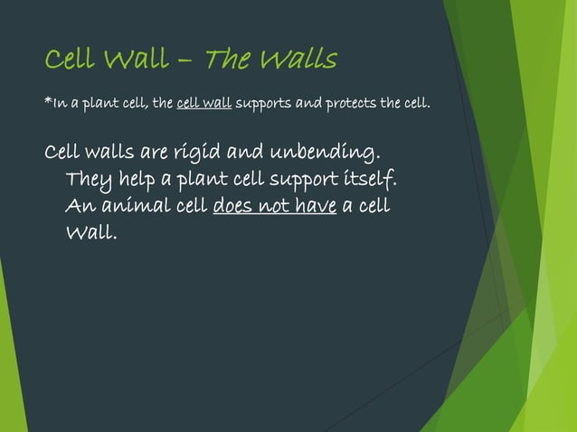 Prokaryotic &eukaryotic cells | PPTX | Biological Sciences | Science