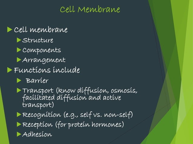 Prokaryotic &eukaryotic cells | PPTX | Biological Sciences | Science