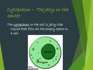 Prokaryotic &eukaryotic cells | PPTX