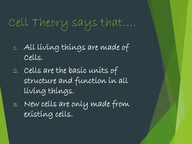 Prokaryotic &eukaryotic cells | PPTX | Biological Sciences | Science