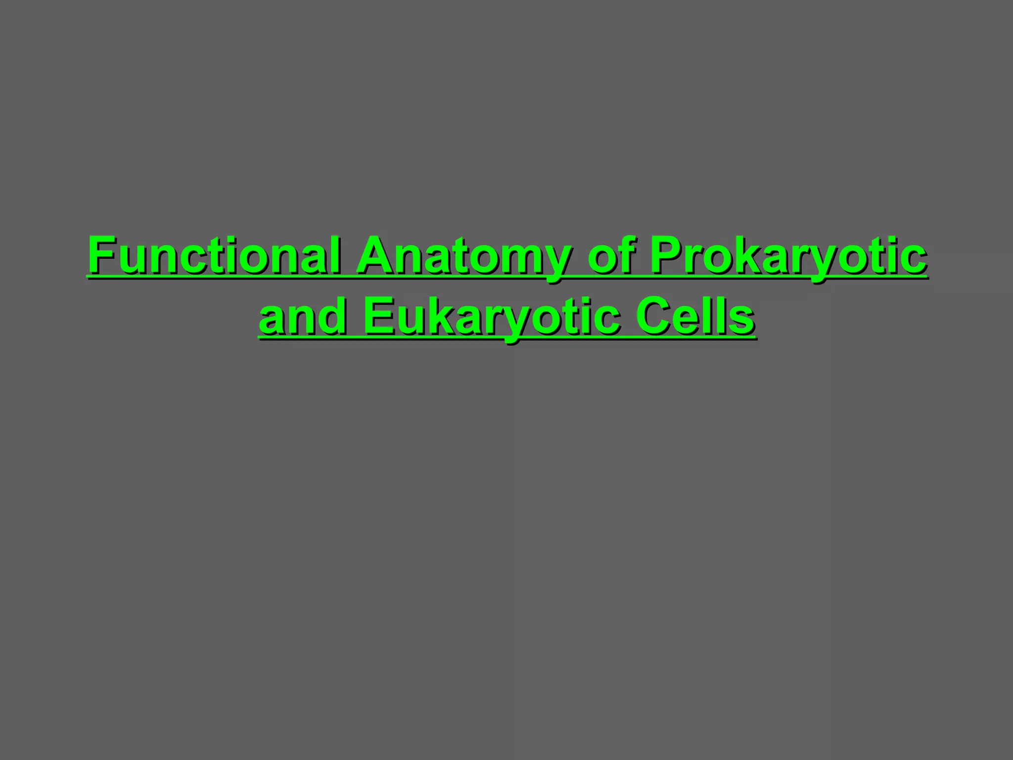 Prokaryotic & eukaryotic cells 3 | PPT