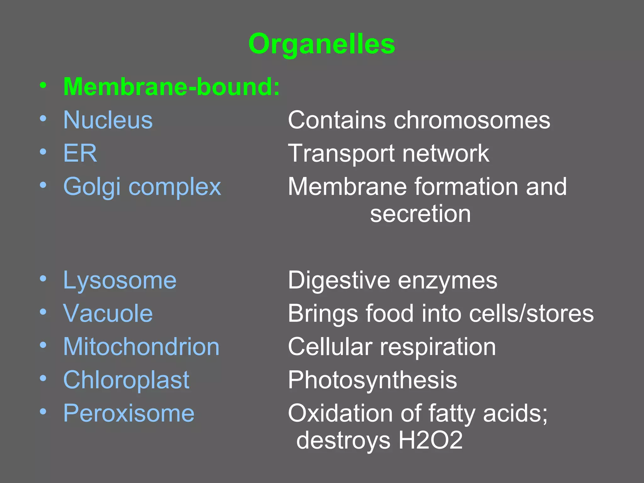 Prokaryotic & eukaryotic cells 3 | PPT