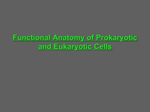 Prokaryotic & eukaryotic cells 3 | PPT